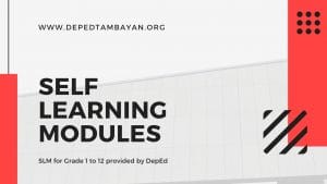 3rd Quarter Self-Learning Modules (SLM)